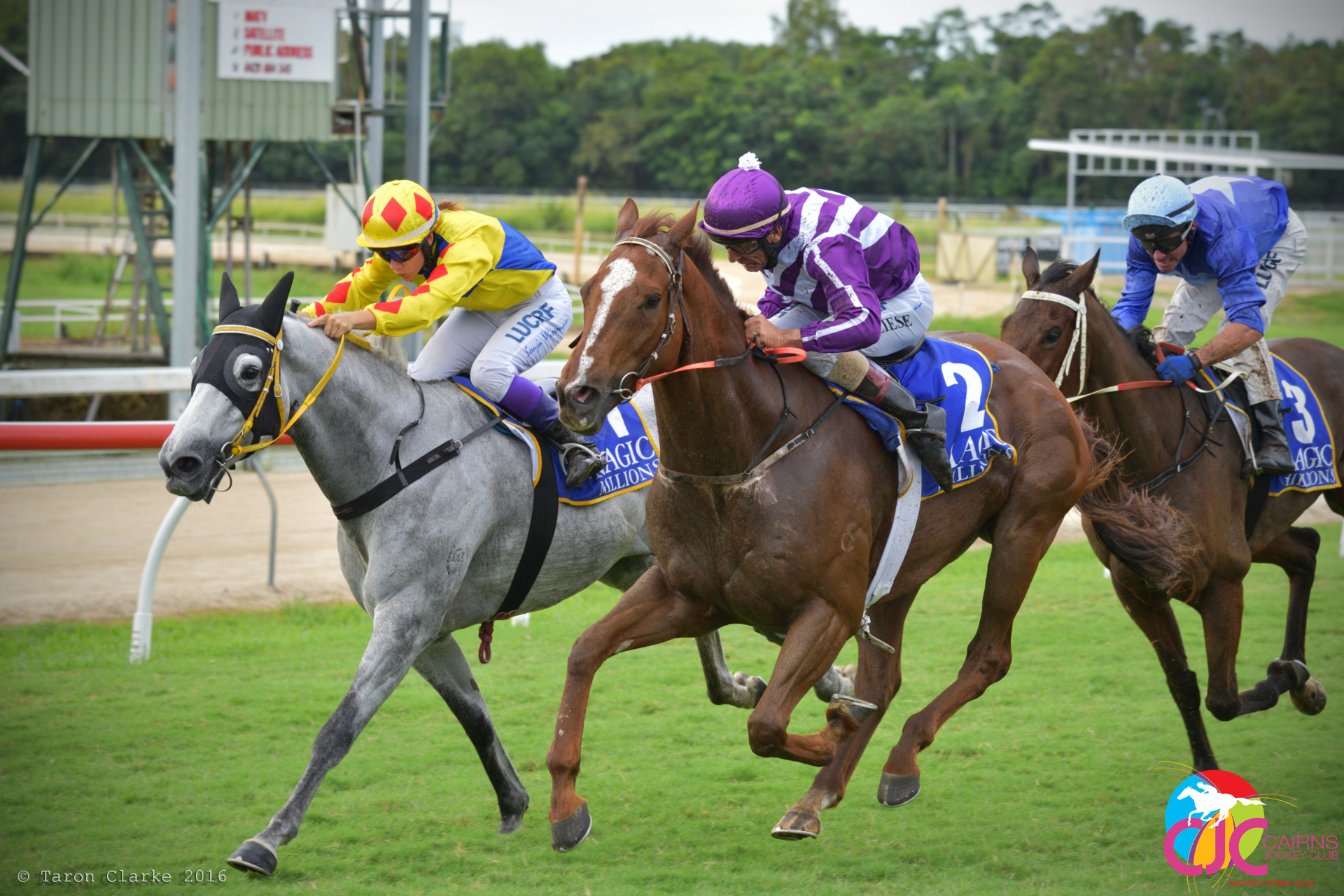Cairns Events - Event Details - Northern Sands & Waste Management Race Day