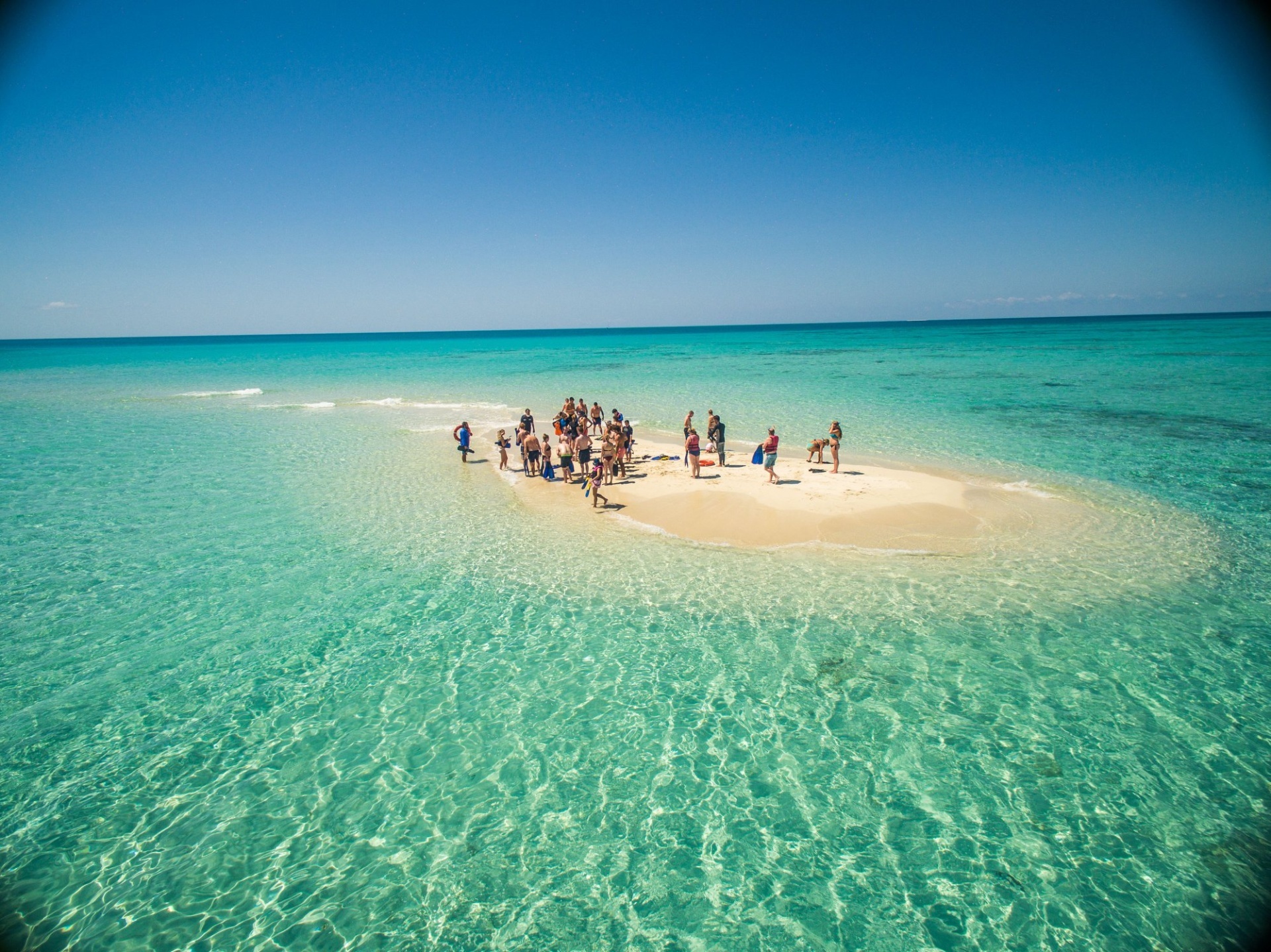 Ocean Freedom Cairns - Tourism Town - The Tourism Marketplace - Find ...