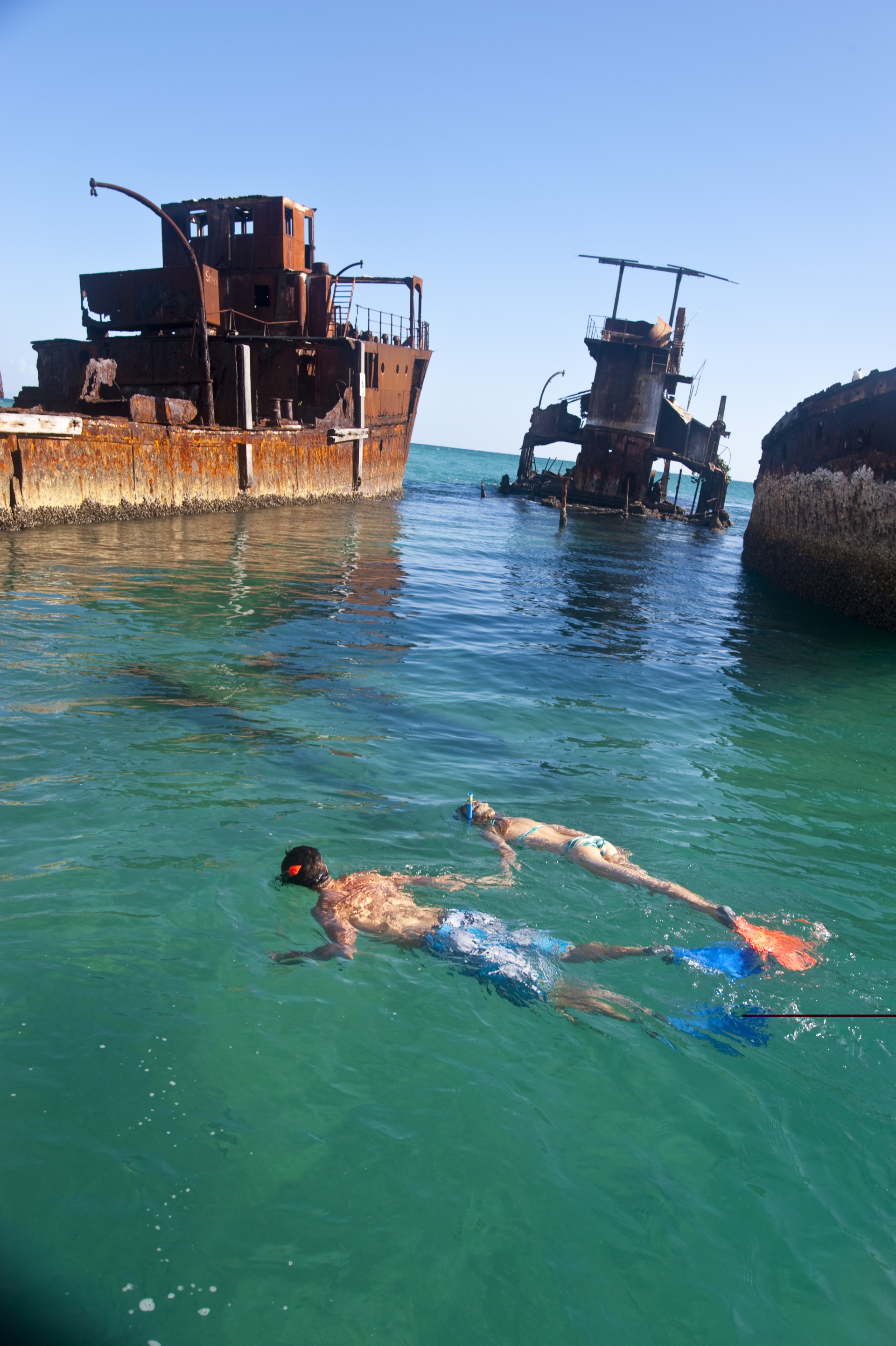 Tangalooma Island Classic Day Cruises - Tourism Town - The Tourism ...