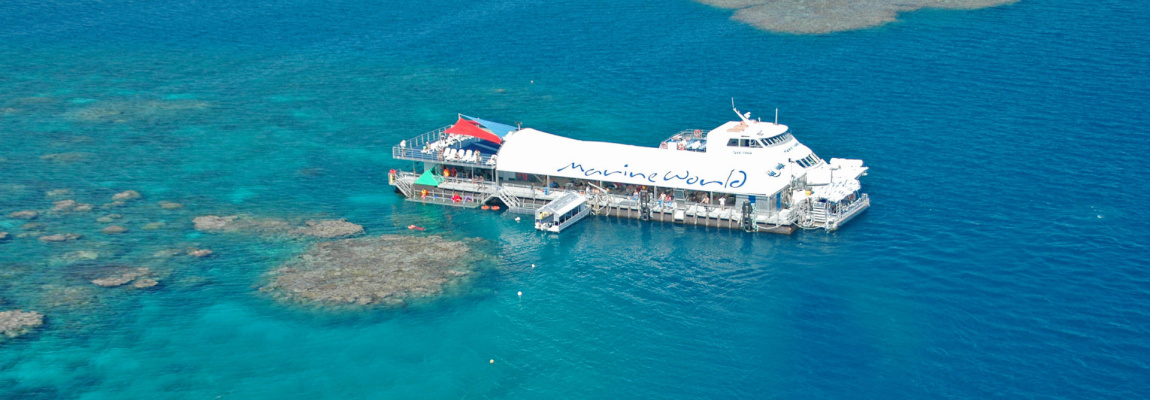 Reef Magic Day Tour - Tourism Town - The Tourism Marketplace - Find and ...