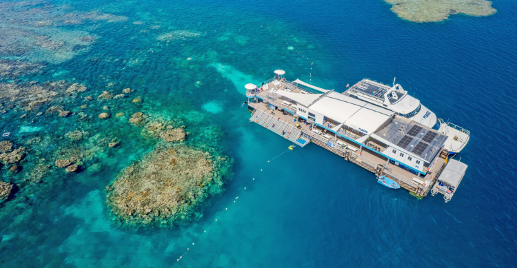 Great Barrier Reef Tours
