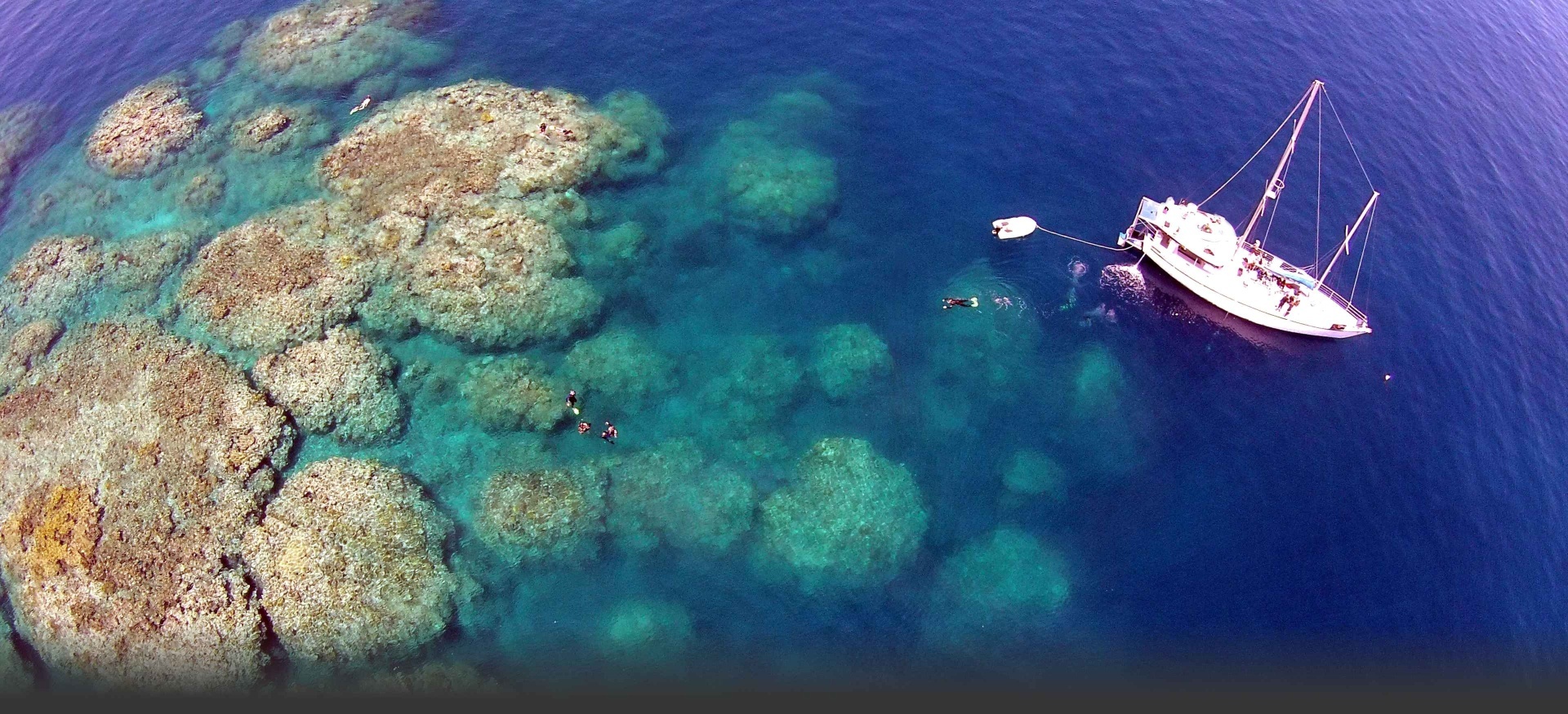 Rum Runner - Overnight Reef Experience - Tourism Town - The Tourism ...