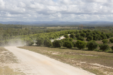 Mareeba - Tourism Town - The Tourism Marketplace - Find and book ...