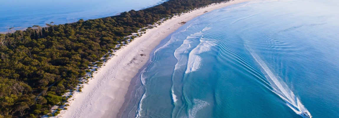 Maria Island Cruises & Shuttle - Tourism Town - The Tourism Marketplace ...